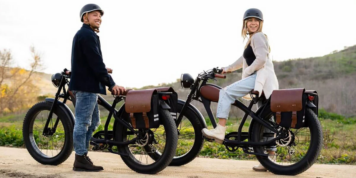 Revi Bikes Cheetah - ev.eu.com